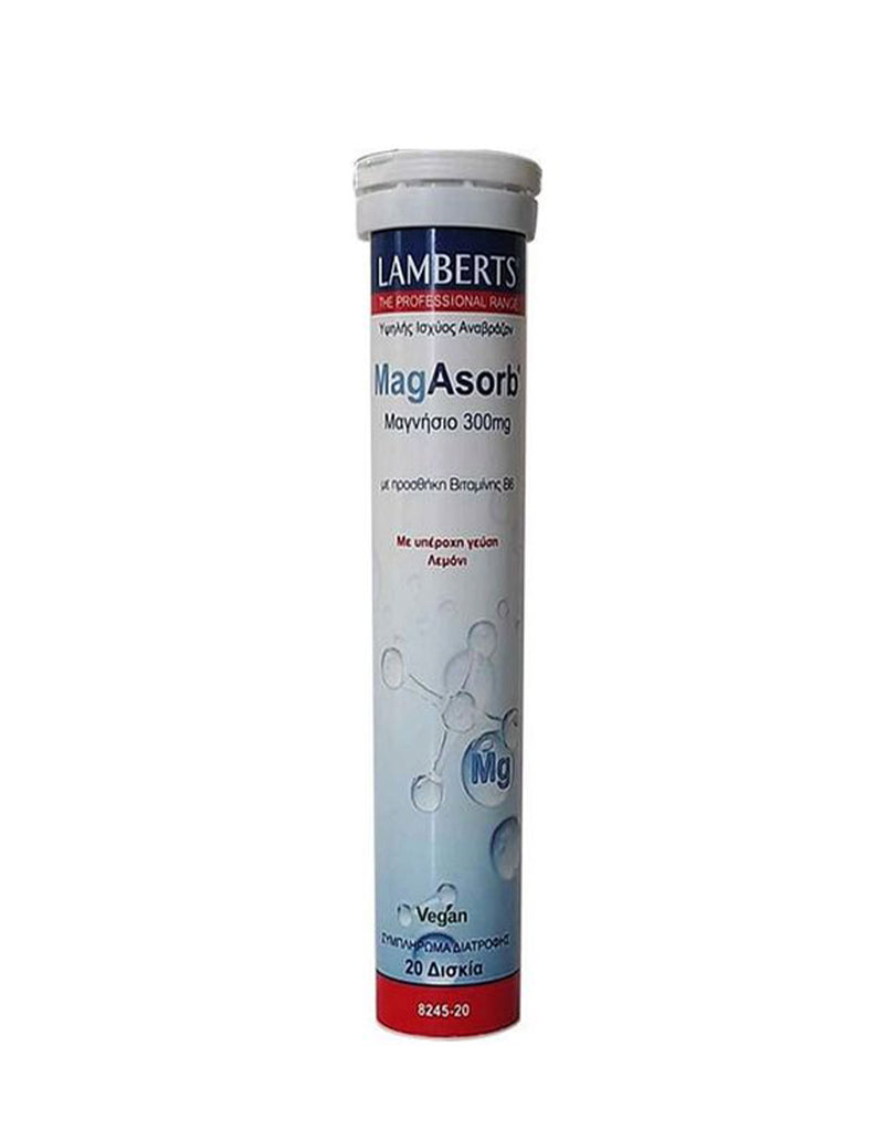 Lamberts Magasorb * 20 – Pharmawest
